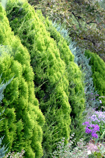 Powell Gardens' Blog: Early October in the Perennial Garden