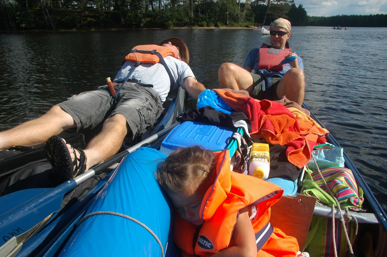Ericas Utsikt: Naturen, vår själs läkning