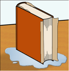 My Academic Writing: How to Repair Your wet books