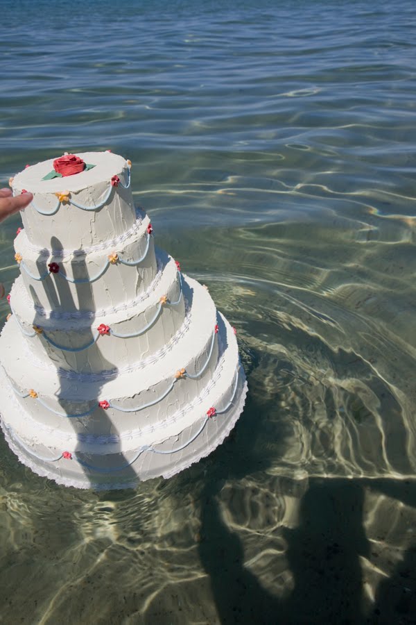 Something Between Want and Desire: Fake Cake Float: Michigan and the UP ...