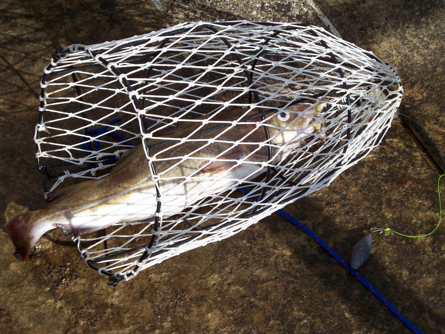 K.B. Net Company: The All New Bell Net From The K.B. Net Company. What ...