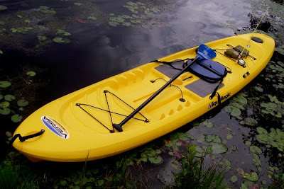 The Fiberglass Manifesto: The Versa Board Review