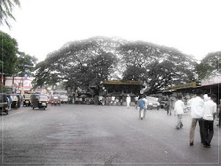 All informations about Kakkanad: Anything or Everything about Kakkanad