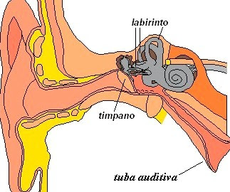 Falando Sobre Enfermagem: Labirintite