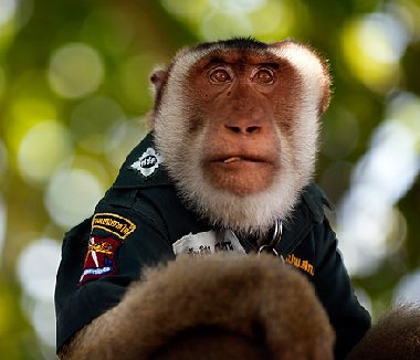 Cave Views: Apr 4, 2010