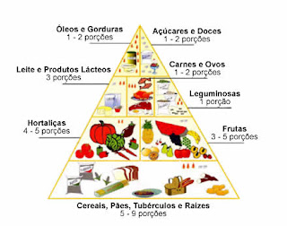 Agora Comida Saudavel Fora de Casa: PIRÂMIDE ALIMENTAR BRASILEIRA