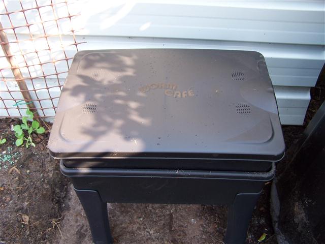 Candidimage Photography: Worm Cafe, Worm Farm