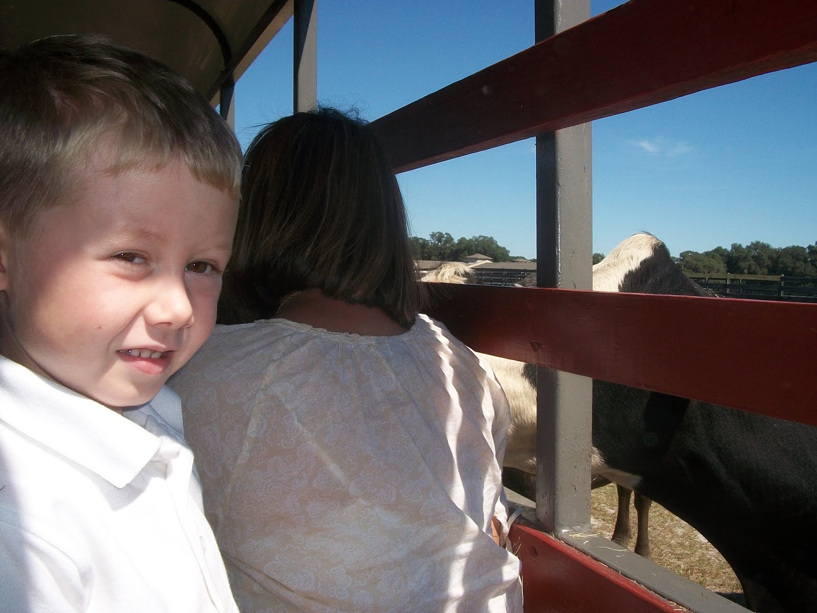 Our Story: Uncle Donald's Farm