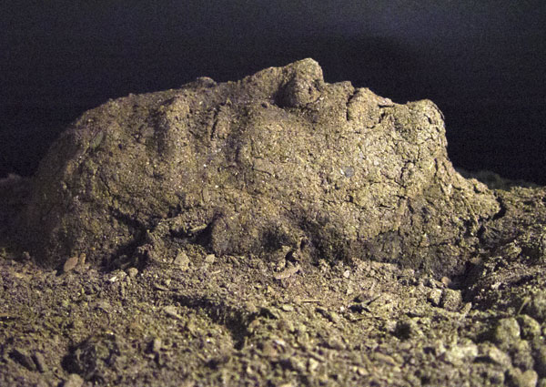 eklektos: Creation of Adam