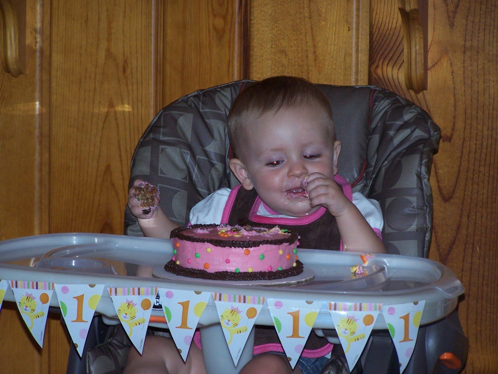The Allen Family - Austin, Carrie and Hadley: Hadley's 1st Birthday Party!