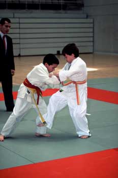 las blogueras del cervantes: historia del yudo por lidia