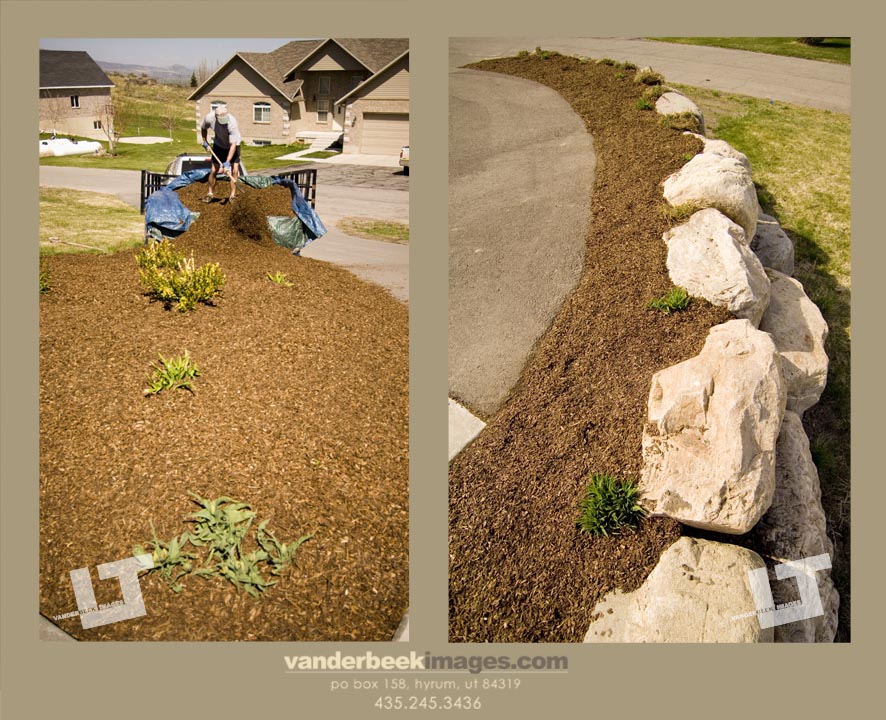 Laura Vanderbeek: April 2010