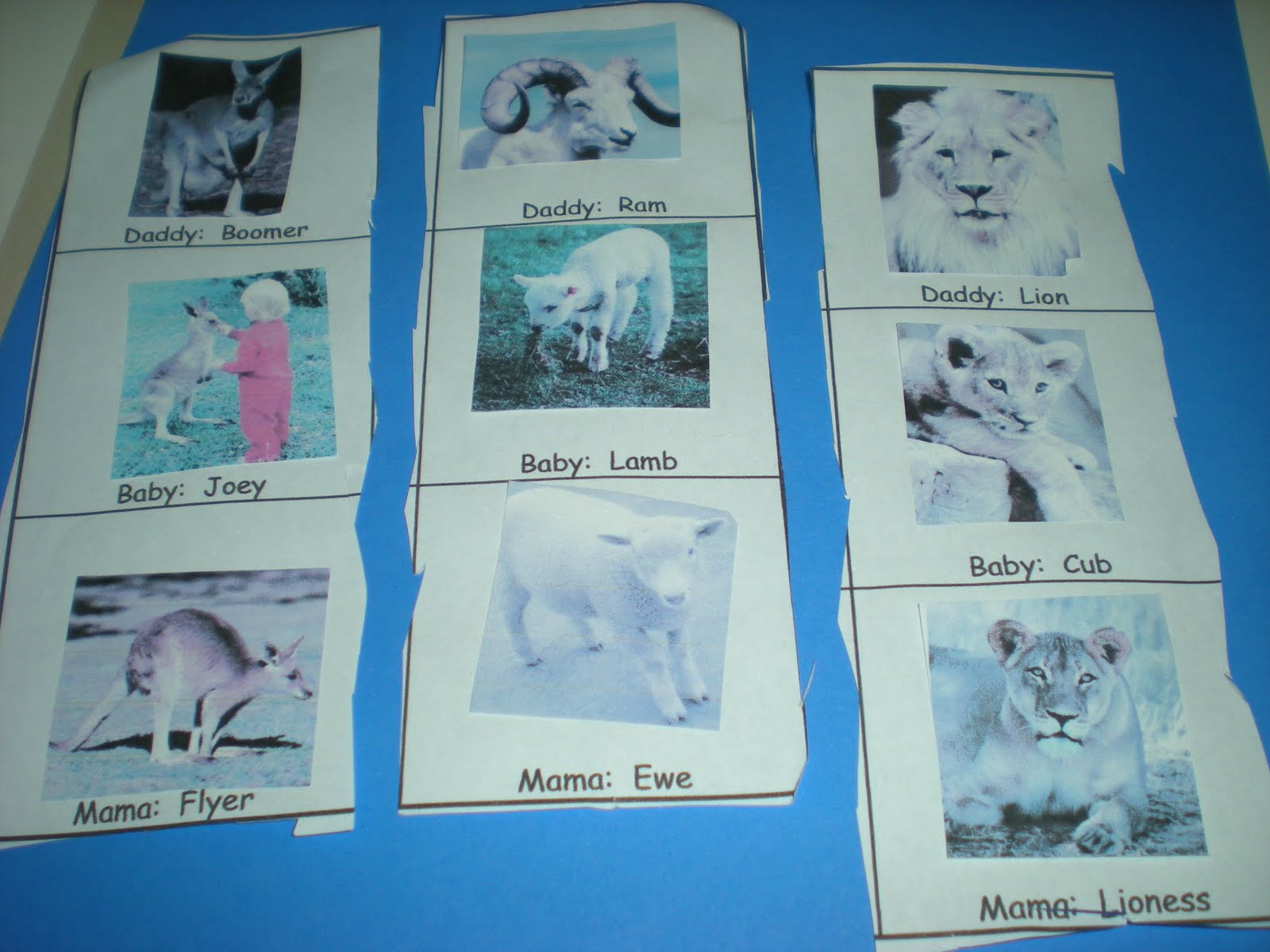 Sippy Cup Central: Katy No-Pocket- Before Five In A Row