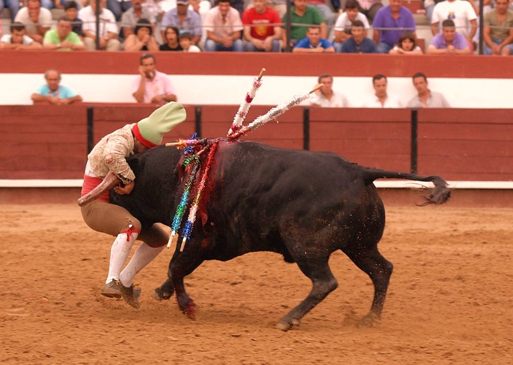 Grupo Forcados Amadores Coruche: Coruche 17/8/2010