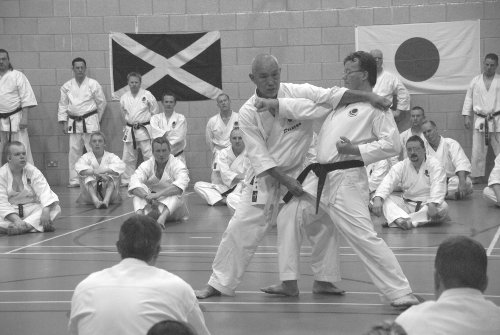 Shotokan Karate - art of the empty hand: Bunkai in competition? can ...