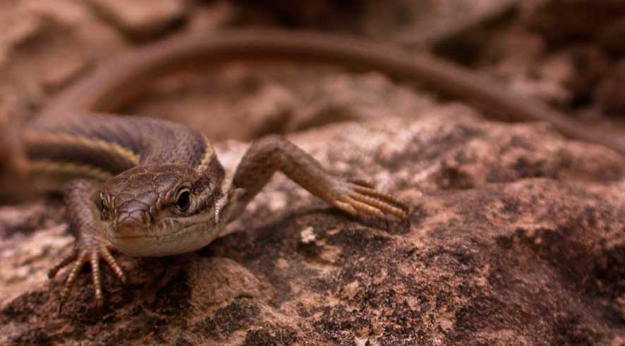 3...2...1...photo ! - azrael ridcull