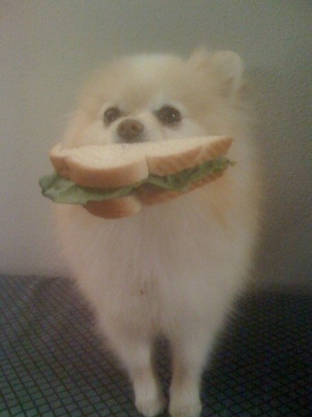 Zachary Quinto's Biceps: Get, SET, Go!