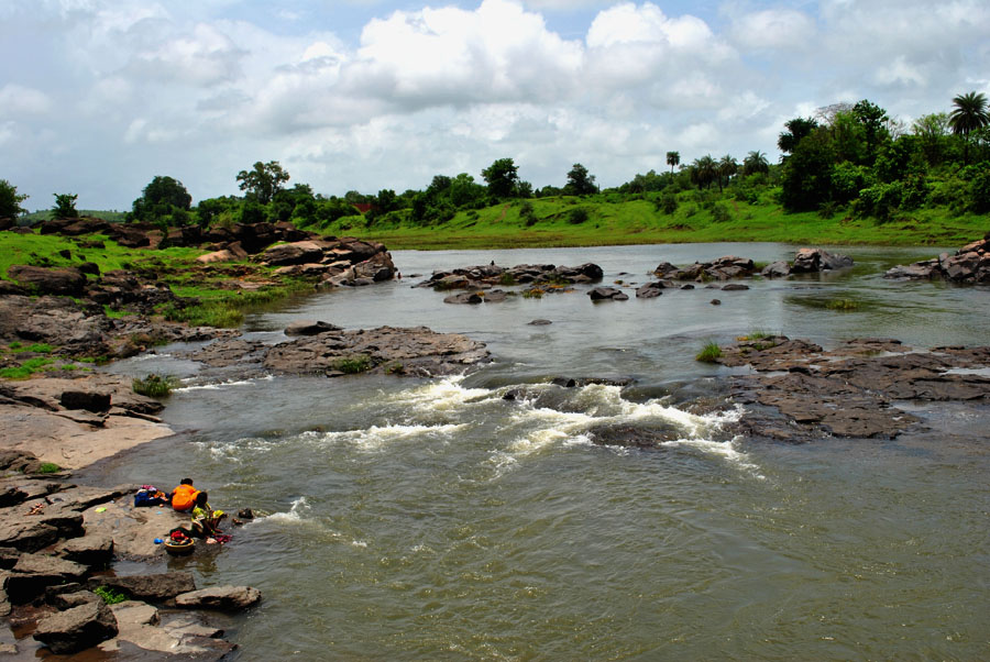 From this jungle to that ...