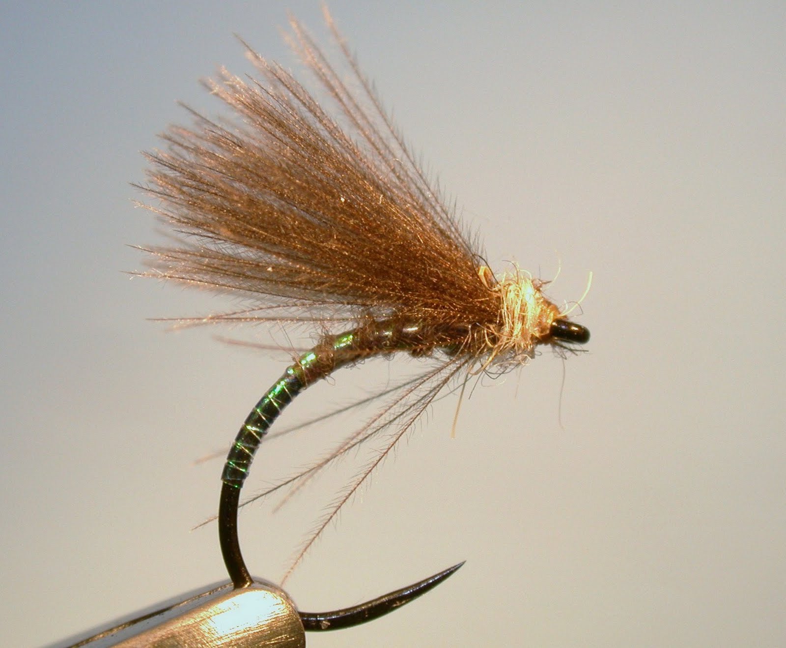 River Fly Box: Sedges