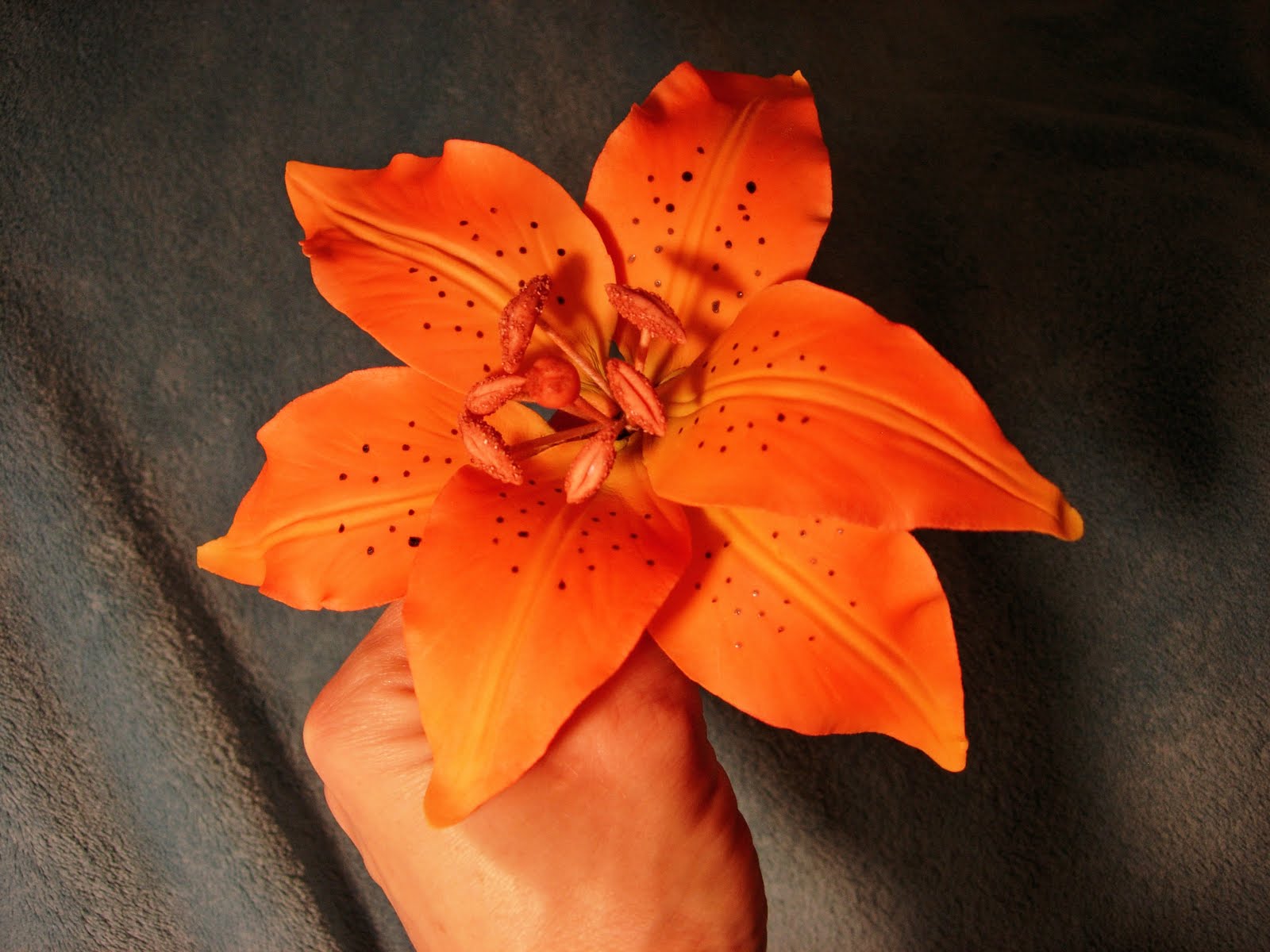 Judy's Cakes: Tiger Lily