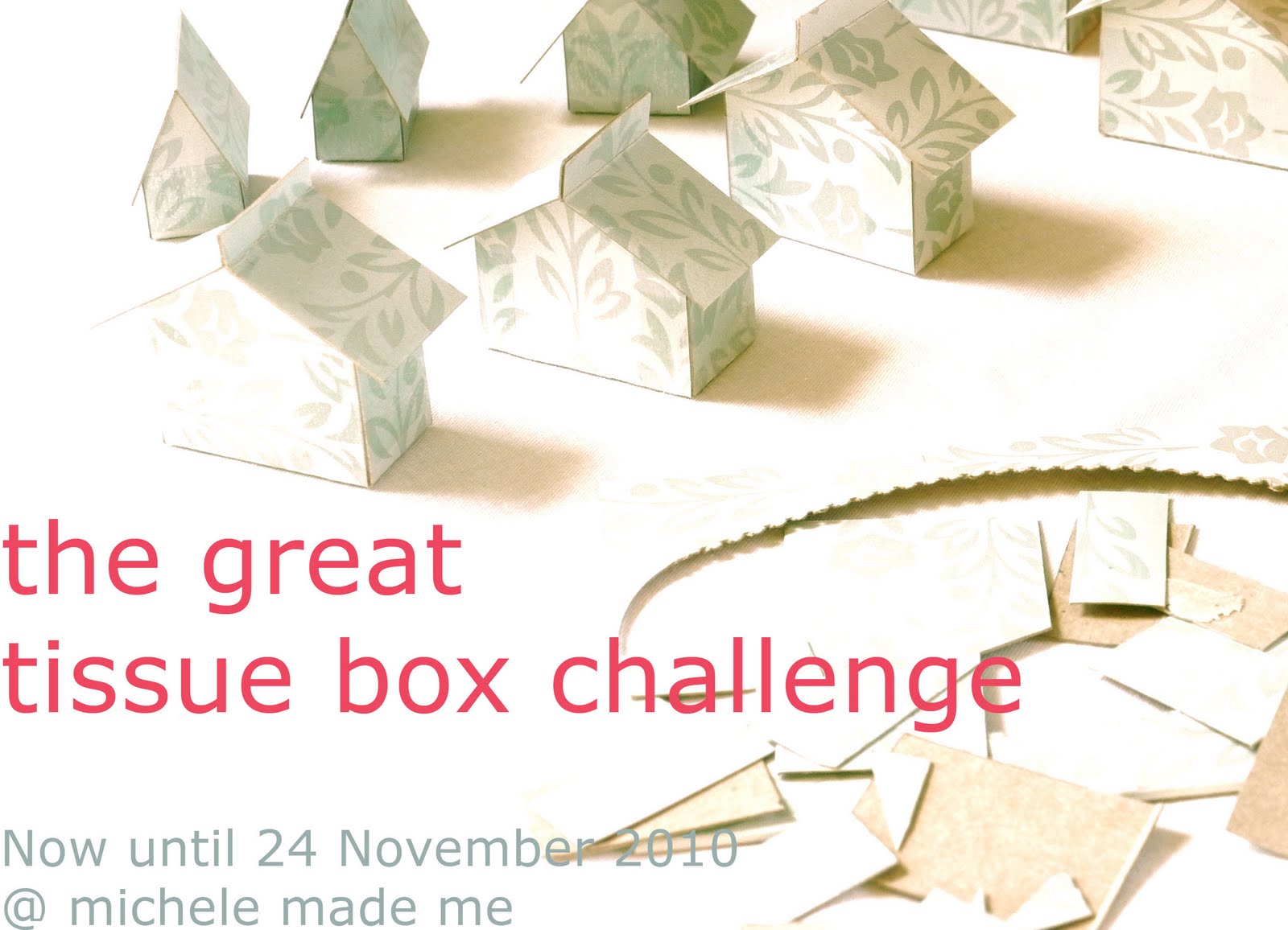 michele made me: The Great Tissue Box Challenge 2010