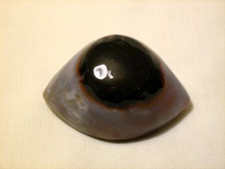 Wait! I Have a Blog?!: Stone for an Eye