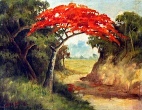 Eye on the Edge: Surviving against all odds