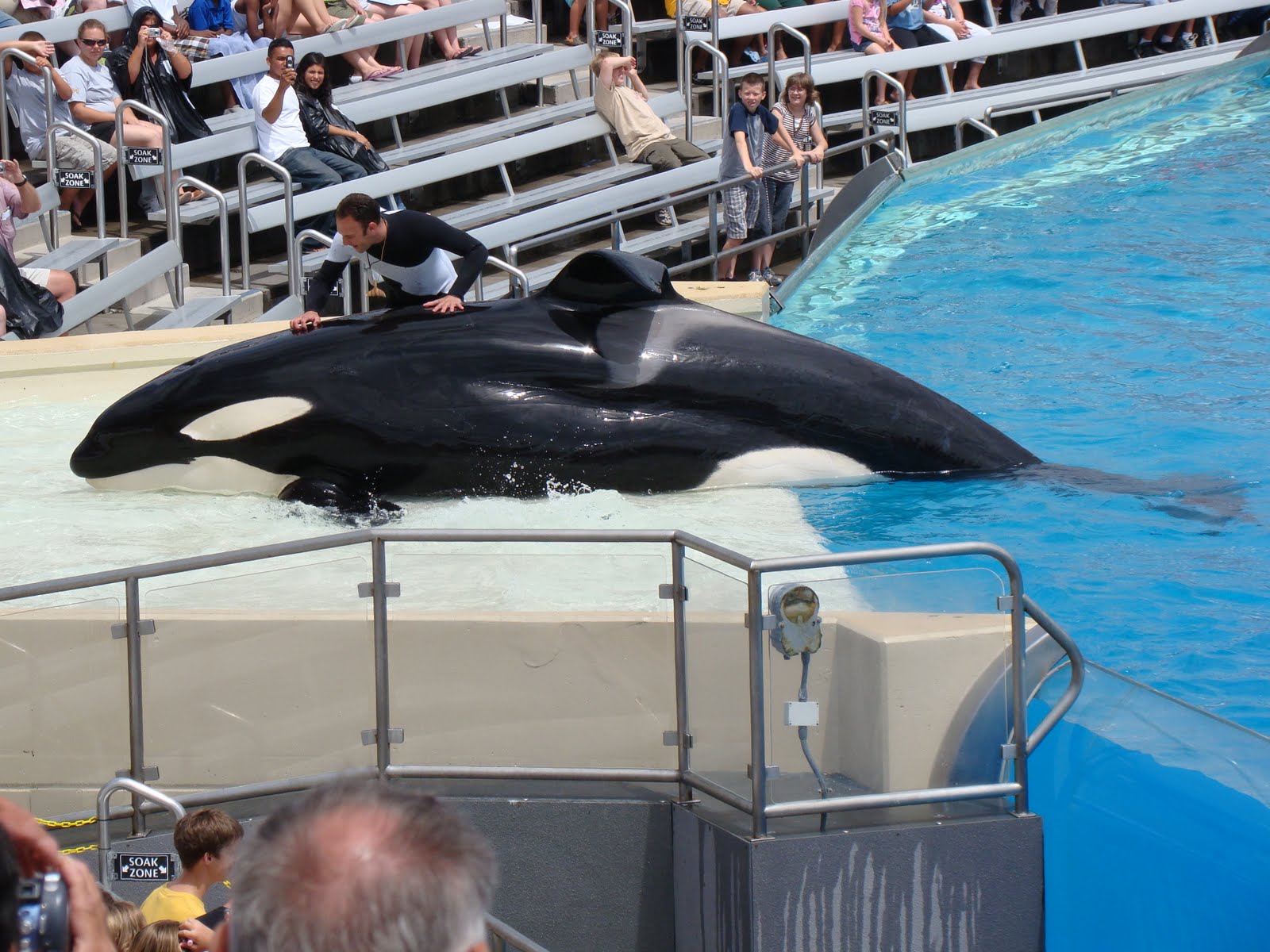 The Baima Family Blog: San Diego: Sea World