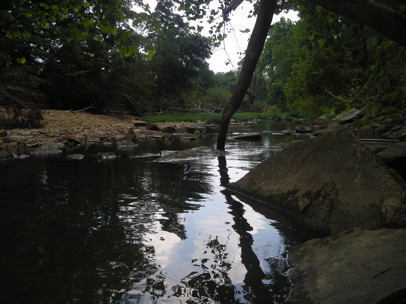 s t a n d i n g w a t e r: the Nashville Basin, Bells Bend on the ...