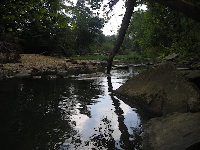 s t a n d i n g w a t e r: the Nashville Basin, Bells Bend on the ...