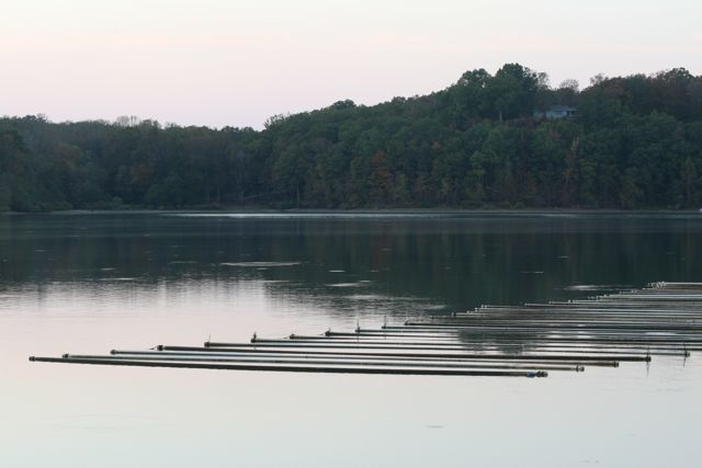 American Pearl - Slow Boat