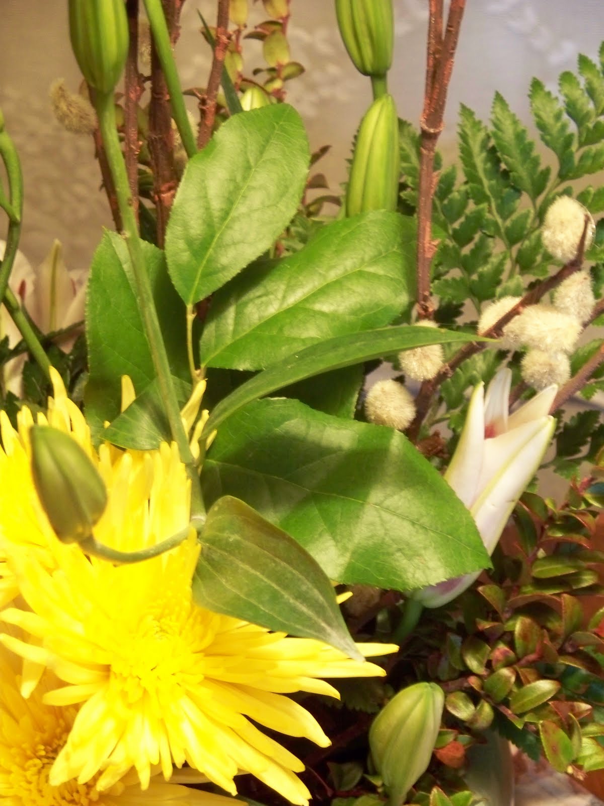 From My Family's Polish Kitchen: Traditional Polish Easter Soup (Biały ...