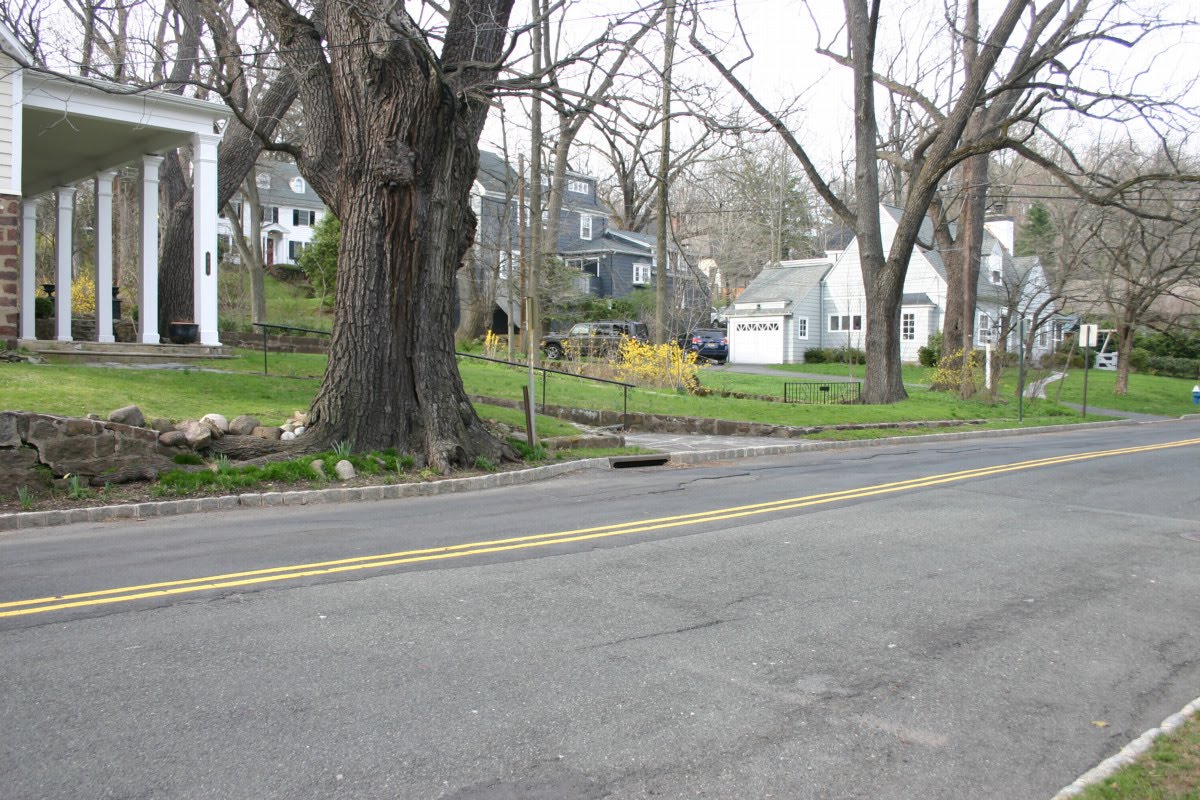 War of Yesterday: Crooked Brook IV