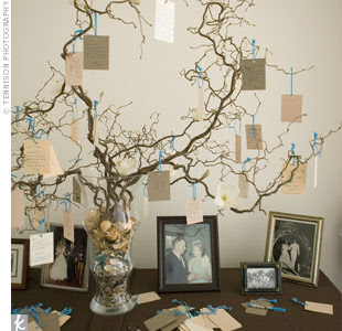 Something Old and New, Borrowed and... GREEN!: The Wishing Tree