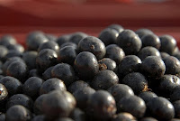 Tania Cavenecia Torres: Acai Berry Fruit ~ Yummmmm
