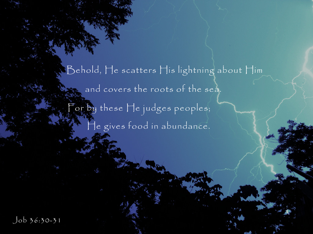 Glimpses of Creation: Old Testament