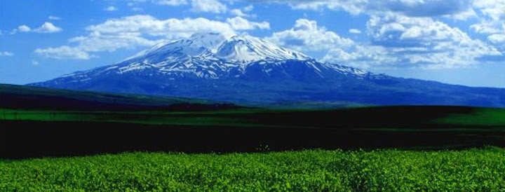 Özel Süphan Sürücü Kursu