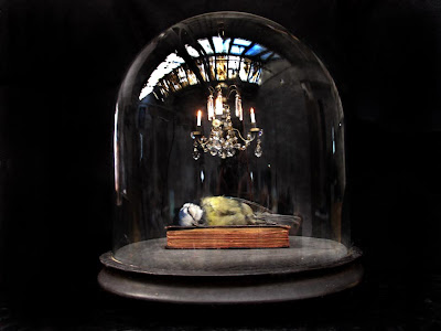 raison d'être: Polly Morgan's art