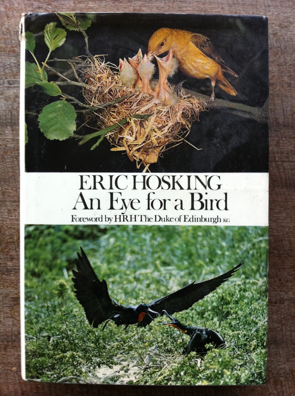 Peregrine's Bird Blog: My Favourite 40 Books about Birds, Birding and ...