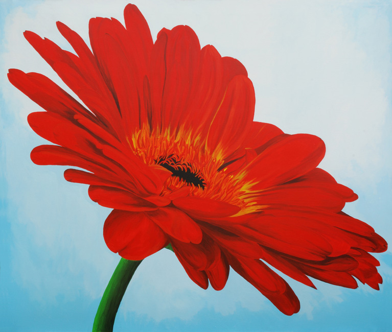 Ali McGee's Illustrations