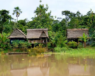 DE LA SELVA SU ENCANTO: GALERIA DE FOTOS DE LA SELVA