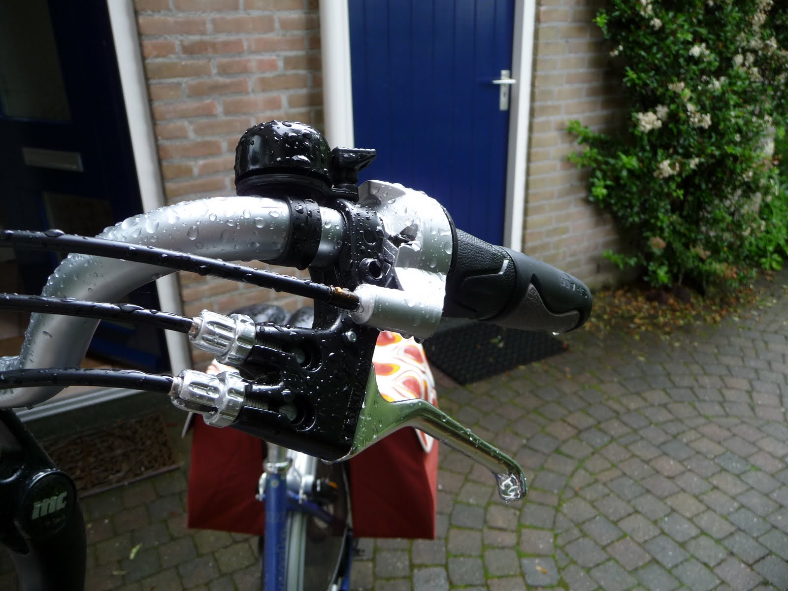 Handrem Fiets Afstellen - Bloemen