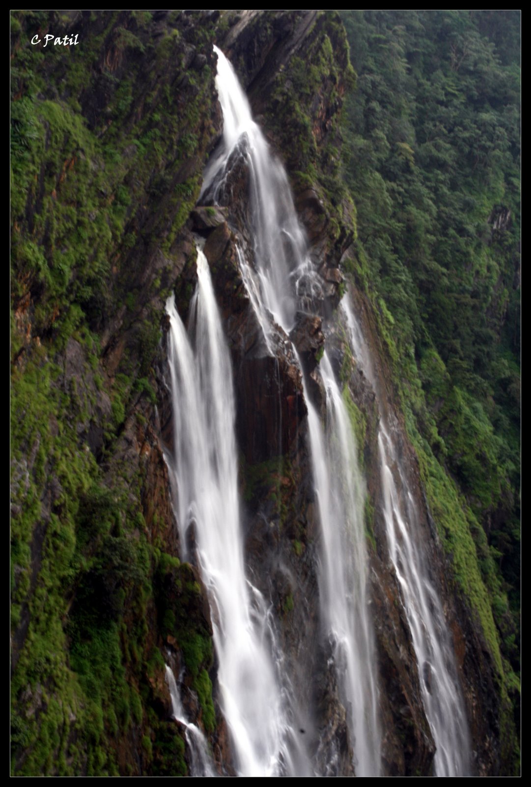 Jog Falls and Shimoga Wildlife Sanctuary