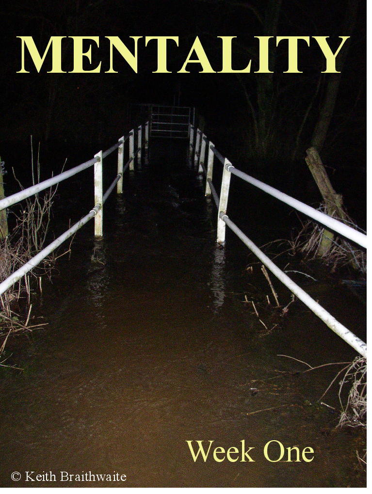 Success Beyond Horatios Dreaming: Mentality 1: Your Attitude Determines ...