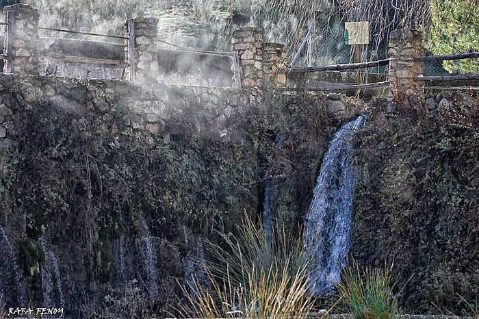 Flora y Fauna de Arbuniel (Jaén): Nacimiento río Arbuniel