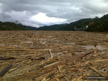 Excessive logging in Sarawak caused Rajang River log-jam - Digest on ...
