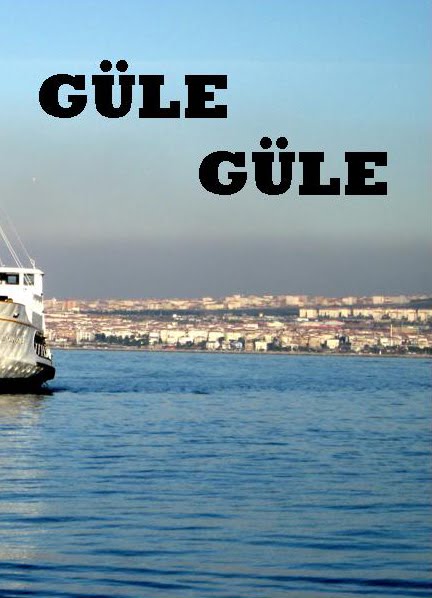 Our Slice of Turkey: Goodbye Turkey