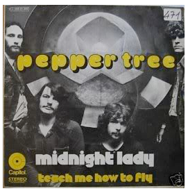 Pepper Tree MR PRIDE / EVERYWHERE canada single 7 inch 45rpm Rock Psych