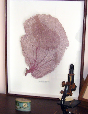 diamondposte: rachel carson homestead