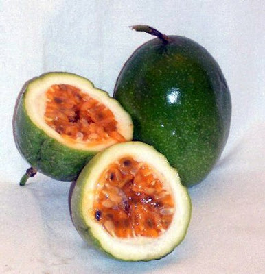 SURCOS AGRONOMIA: Catálogo de frutas para chupar y sorber